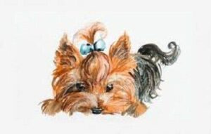 without brand set of 48 envelope seals labels super cute yorkie puppy 1.2" round