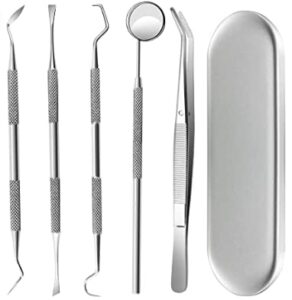 dental tools, 5 pcs picks for teeth cleaning, stainless steel teeth cleaner kit plaque remover, dental scaler hygiene set oral care tools, tooth scraper plaque tartar remover