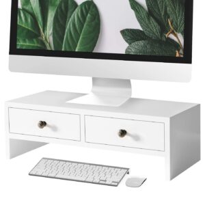 welland monitor stand riser with drawers, computer monitor stand, desktop organizer stand for laptop, pc, office supplies, white