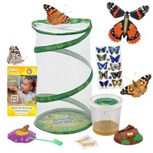 insect lore butterfly garden gift set | 8" habitat with live cup of caterpillars | stickers and extras included | life science & stem education kit | grow painted lady butterflies