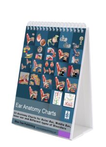 blue tree publishing ear anatomy desktop charts for aud, audiologist, hearing centers and classroom material for education