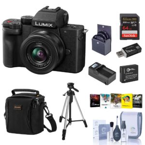 panasonic lumix dc-g100 mirrorless camera black with g vario 12-32mm f/3.5-5.6 as lens - bundle with 64gb sdhc card, soulder bag, spare battery, compact charger, 37mm uv filter, pc software, and more