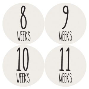 months in motion weekly pregnancy growth stickers | week to week pregnant expecting photo prop | maternity keepsake | baby bump | weekly stickers photo (set of 36 stickers)