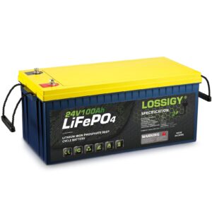 lossigy 24v100ah lifepo4 deep cycle rv lithium iron phosphate rechargeable battery built-in 100a 2000~5000 cycles 2560wh bms low self-discharge safer widely used in solar&wind, marine, emergency,off-grid