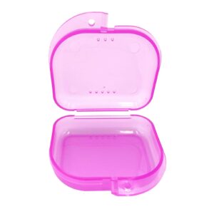 orthodontic retainer case with vent holes - transparent purple