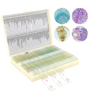 120+60 microscope slides with specimens, prepared microscope slides for microbiology, prepared microscope slides for adults/kids