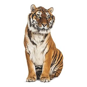 cozydecor tiger wall decal sticker for bedroom kids room, tiger decorations for home living room bedroom playroom