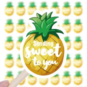 wailozco 210 pc cute sending sweet to you business stickers,funny small business envelopes stickers for business packages/handmade goods/bags ,pineapple theme small shop business stickers for envelopes seals