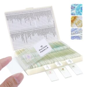 120pcs prepared microscope slides animals insects plants bacterial sample biological slide specimen for kids students adults, for science study and education