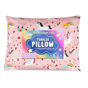 dreamtown kids toddler pillow & pillowcase, hypoallergenic, made in usa, soft & breathable