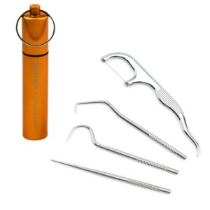 gelmay portable toothpicks pocket set, dental floss picks, reusable flosser, travel tooth picker, flossers for adults, stainless steel teeth cleaning kit