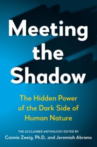 meeting the shadow: the hidden power of the dark side of human nature