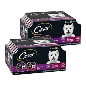 cesar adult wet dog food classic loaf in sauce filet mignon and porterhouse steak flavors variety pack,(12) 3.5 oz. easy peel trays, pack of 2