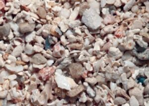 carib sea acs00150 crushed coral for aquarium, 40-pound