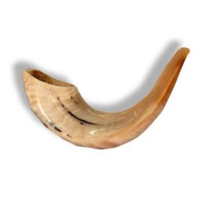 jerusalem shofar kosher rams horn instrument natural shoffar shophar schofar judaica gift rosh hashanah jewish