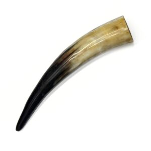 10-14" polished water buffalo horn