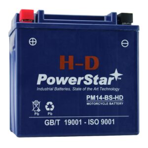 powerstar faytx14 battery replaces ytx14-bs cytx14-bs ytx14bs gtx14-bs, sealed gel agm