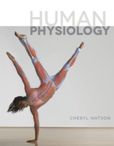 human physiology