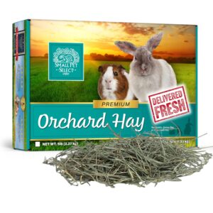 small pet select orchard grass hay pet food for rabbits, guinea pigs, chinchillas and other small animals, premium natural hay grown in the us, 5 lb