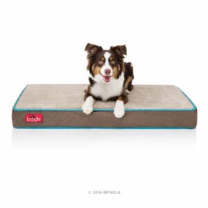 brindle waterproof memory foam pet bed - removable and washable cover - 4 inch orthopedic dog and cat bed - fits most crates,mocha blue