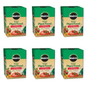 miracle-gro 2000422 tomato plant food tomato fertilizer (6 pack), 1.5 lb