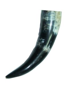 polished buffalo horn - natural buffalo horn (6-10 inches)