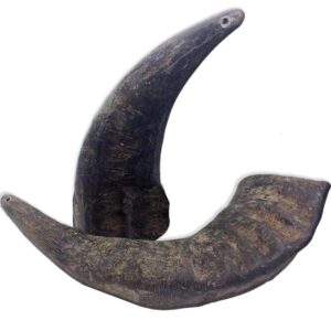 2 pack of buffalo hornz medium long lasting 100% natural water buffalo horn dog chews