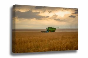 farm canvas wall art (ready to hang) gallery wrap of combine cutting wheat as rain starts to fall in colorado harvest photography farmhouse decor (.75, 8" x 10")