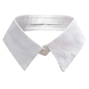 gracelife unique style false collar peter pan blouse detachable choker necklace faux collar (white 15)