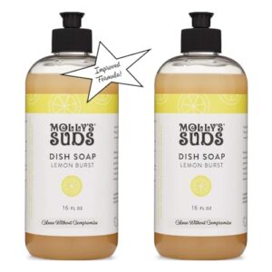 molly's suds natural liquid dish soap | long-lasting, powerful plant-powered ingedients | herbal lemon scent | 16 oz - 2 pack