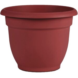 bloem ariana self watering planter: 12" - burnt red - durable resin pot, for indoor and outdoor use, self watering disk included, gardening, 3 gallon capacity