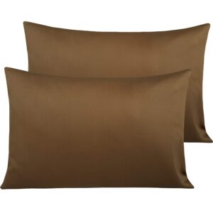 ntbay egyptian cotton queen pillowcases - set of 2, 500 thread count cotton pillowcases - soft and breathable envelope closure pillow cases - 20x30 pillow covers for bed, brown