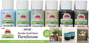 apple barrel farmhouse acrylic paint set, 12, 24 fl oz (pack of 1)