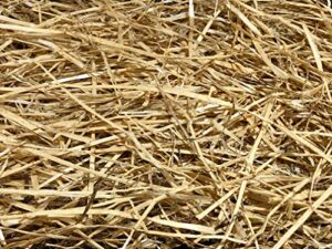 aa plus shop 100% natural wheat straw grass, animal bedding and farm wheat straw (4lb)