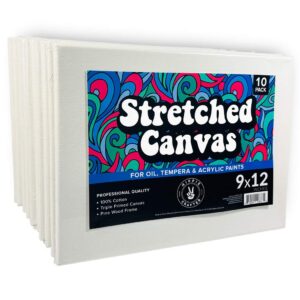 10 pack stretched canvases for painting, 9x12 blank rectangle canvas boards, ideal for acrylic, oil, and mixed media art, small art canvases for painting, perfect for supplies and bulk projects