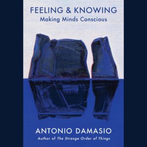 feeling & knowing: making minds conscious