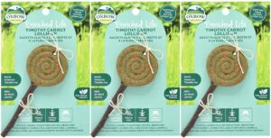 oxbow animal health 3 pack of enriched life timothy carrot lollipop small animal chew treat