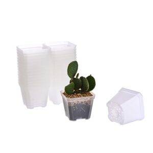 bangqiao 30 pack small 3.90 inch plastic square nursery pot, plant starting and transplant planter container with drainage hole for seed germination, clear