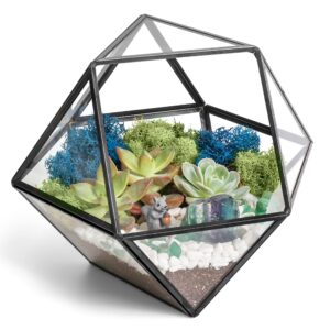 7” diy succulent terrarium kit with live plants, decorative rocks, moss, healing crystals, figurine, tools & geometric glass terrarium décor