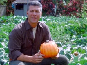 pumpkin picking party