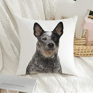 aerhot decorative throw pillow cover brown away closeup australian cattle dog front white animals wildlife black canine carnivore cut velvet cushion cover for sofa couch living room bed 18x18 inch