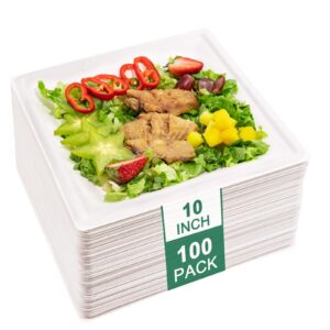 sut 10-inch compostable paper plates, 100 pcs square biodegradable bagasse plates, heavy-duty microwaveable plates, eco-friendly natural disposable plates, made of sugarcane fibers, for party, picnic