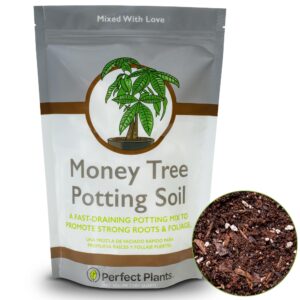 perfect plants money tree potting soil 2qt | organic coco coir based plant mix for indoor trees | quickly grow your indoor forest (2qts.)