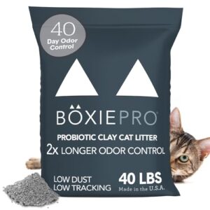 boxie® probiotic 40 day natural odor control cat litter, 40lb clumping clay kitty litter