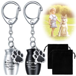 tudomro 2 pcs pet dog urns keychain for ashes with 2 storage bags small cat cremation keepsake jewelry paw print memorial urn(fresh style)