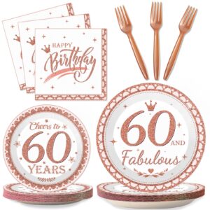 wiooffen 60th birthday decorations for woman 60th birthday paper plates napkins cheers to 60 years plates 60th birthday party supplies for women rose gold 60th birthday decorations pink party supplies