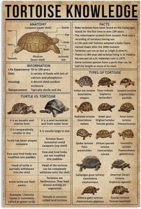 starotore anatomy of a carapace canvas print painting tortoise knowledge posters frameless wall art animal pictures vintage wall decor for bedroom bathroom garden home aquarium decor 8x12inch