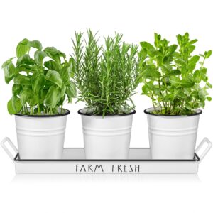 dayyet farmhouse herb garden planter indoor window planter set with tray, white windowsill herb planter pots with drainage for outdoor or indoor planters, set of 3