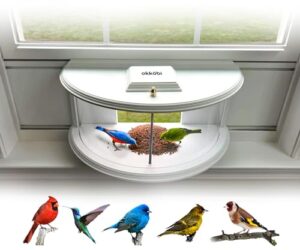 skybox window bird feeder inside house - 180 clear view of birds feeding - bird box fits windows 30-41 inches - including rain cover slide