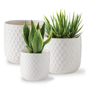 docrin ceramic plant pots indoor: 6.5+5.3+4 inch planters with drainage holes for home/office - set of 3 / white honeycomb